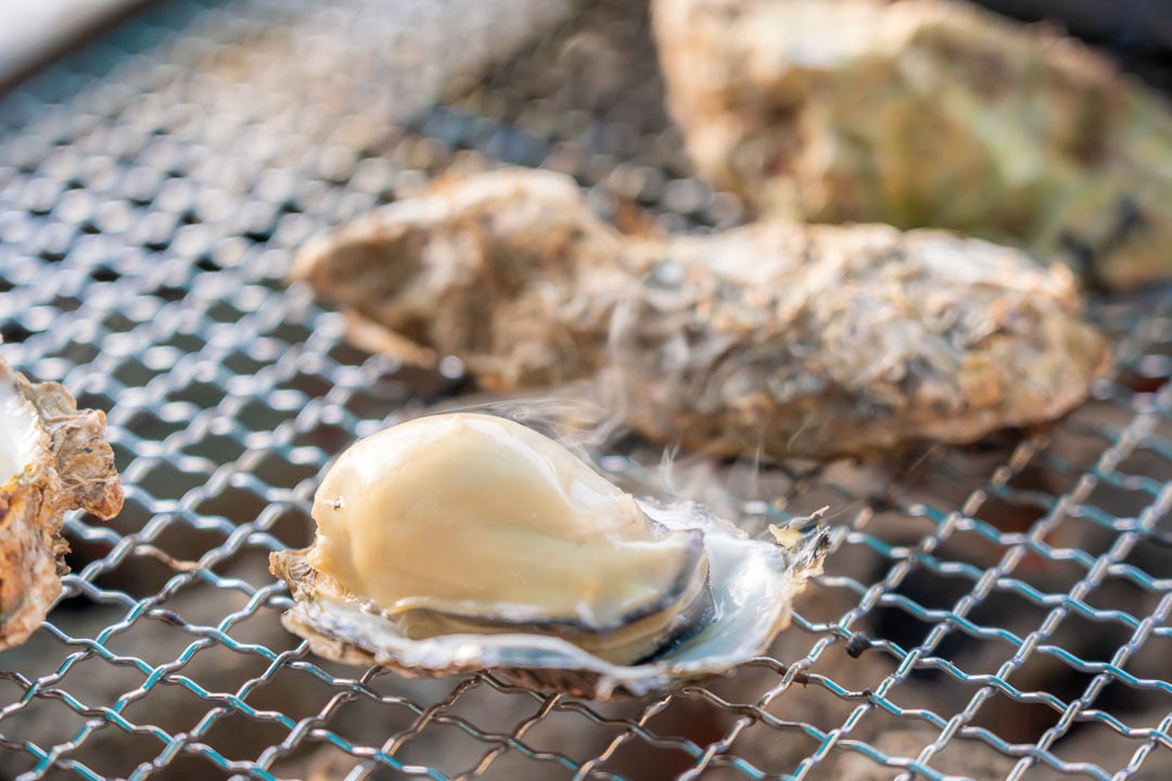 Miyajima Island | Journey through Nohgaku – | The Nohgaku Performers ...